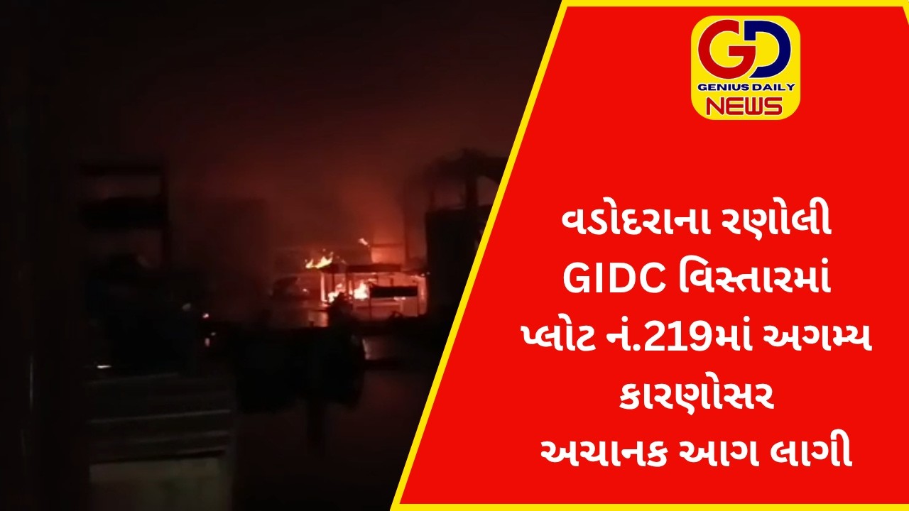 વડોદરાના રણોલી GIDC વિસ્તારમાં પ્લોટ નં.219માં અગમ્ય કારણોસર અચાનક આગ ...