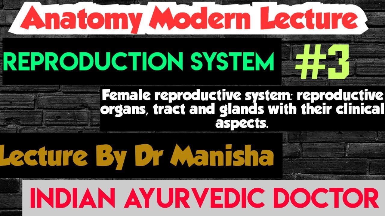 Female reproductive system: reproductive organs, tract and glands with ...