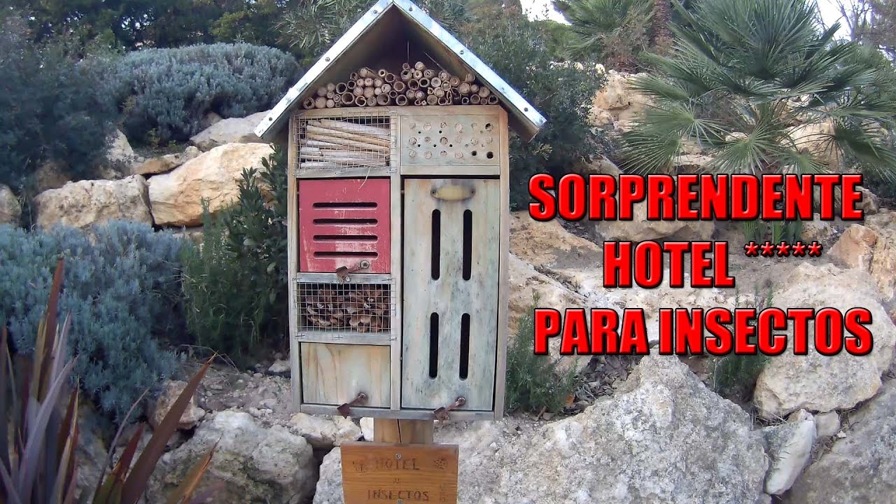 2 áreas recreativas en Onil - YouTube