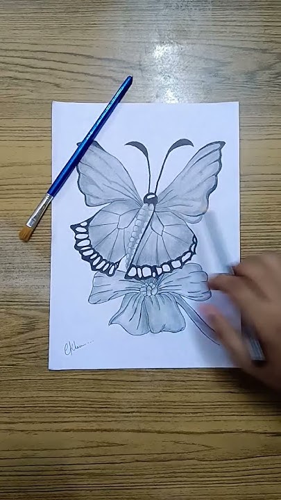 Butterfly shading drawing | use pencil and brush - YouTube
