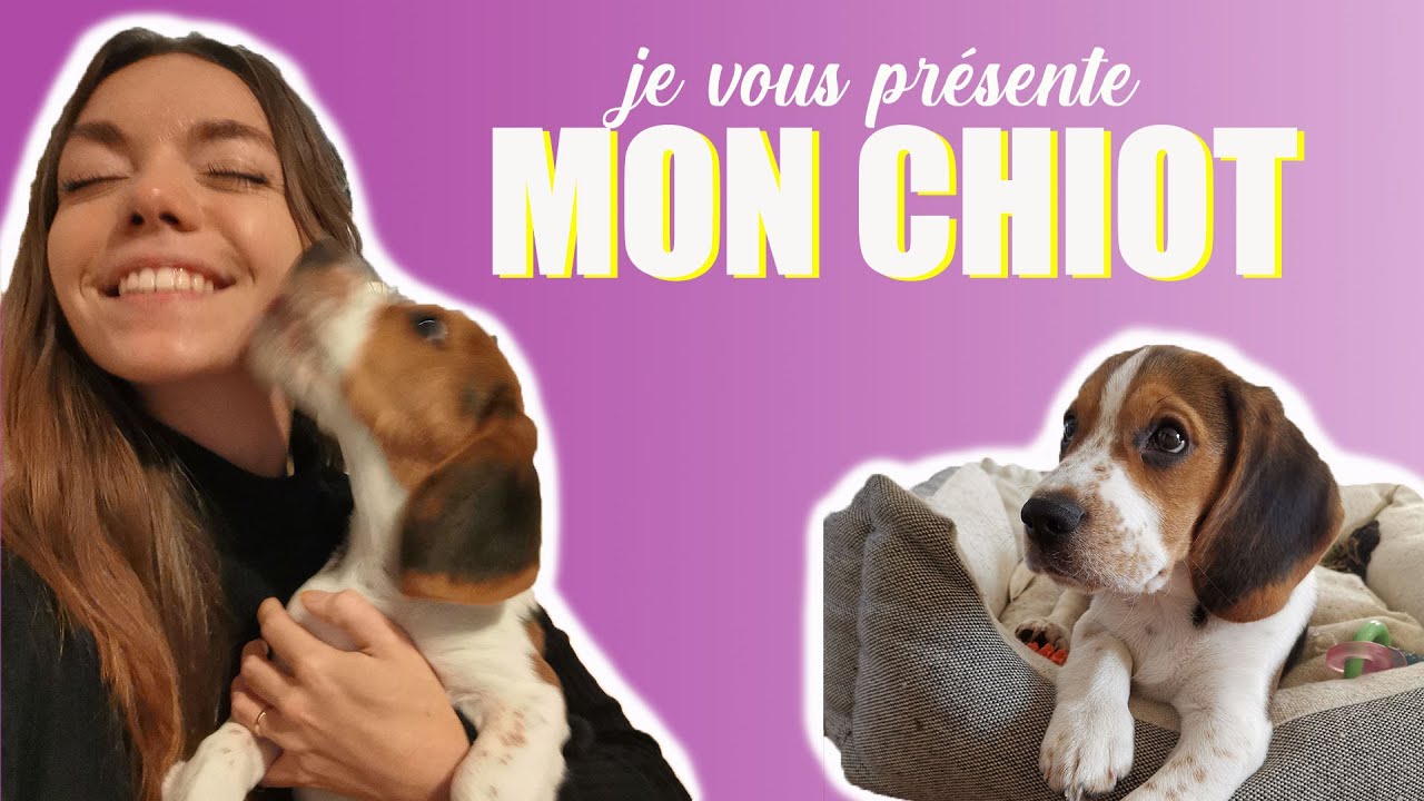 JE VOUS PRÉSENTE MON CHIOT ! - YouTube