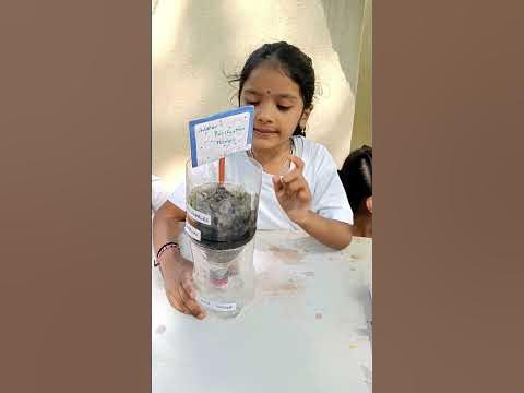 Science Project-Water Purification Model #science - YouTube