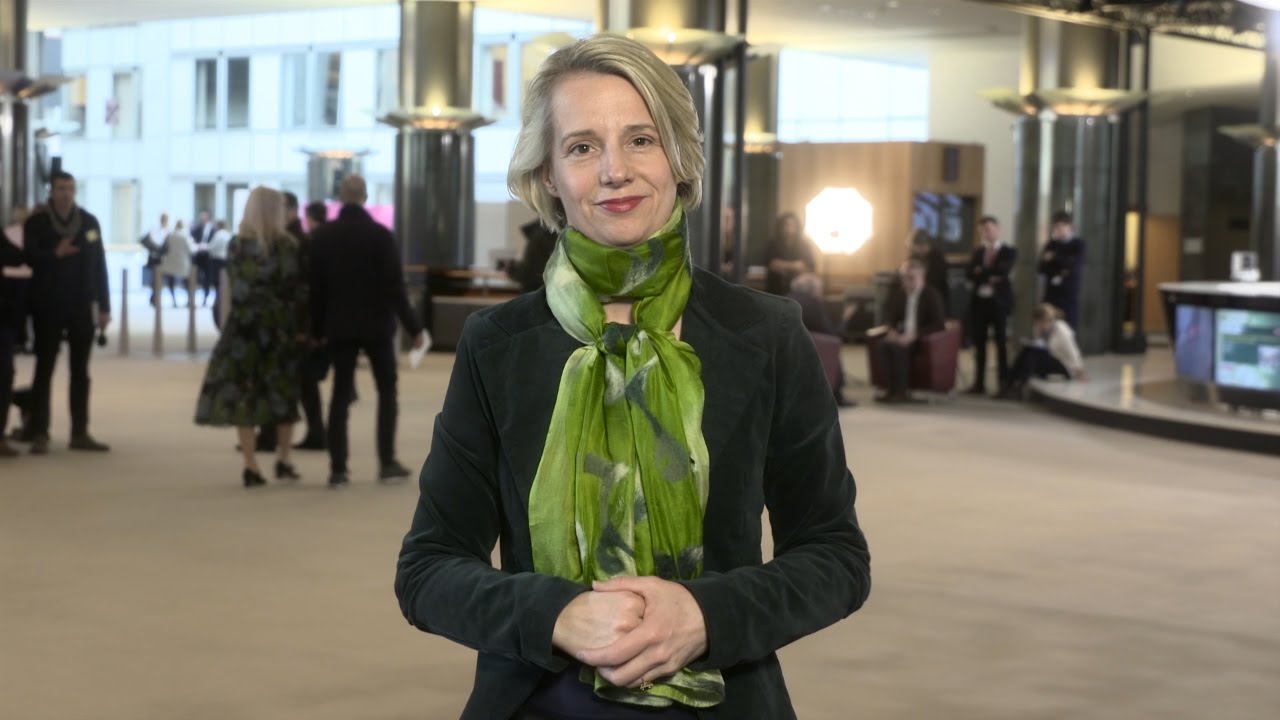 Helga Stevens, ¿cómo son los eurodiputados? - YouTube