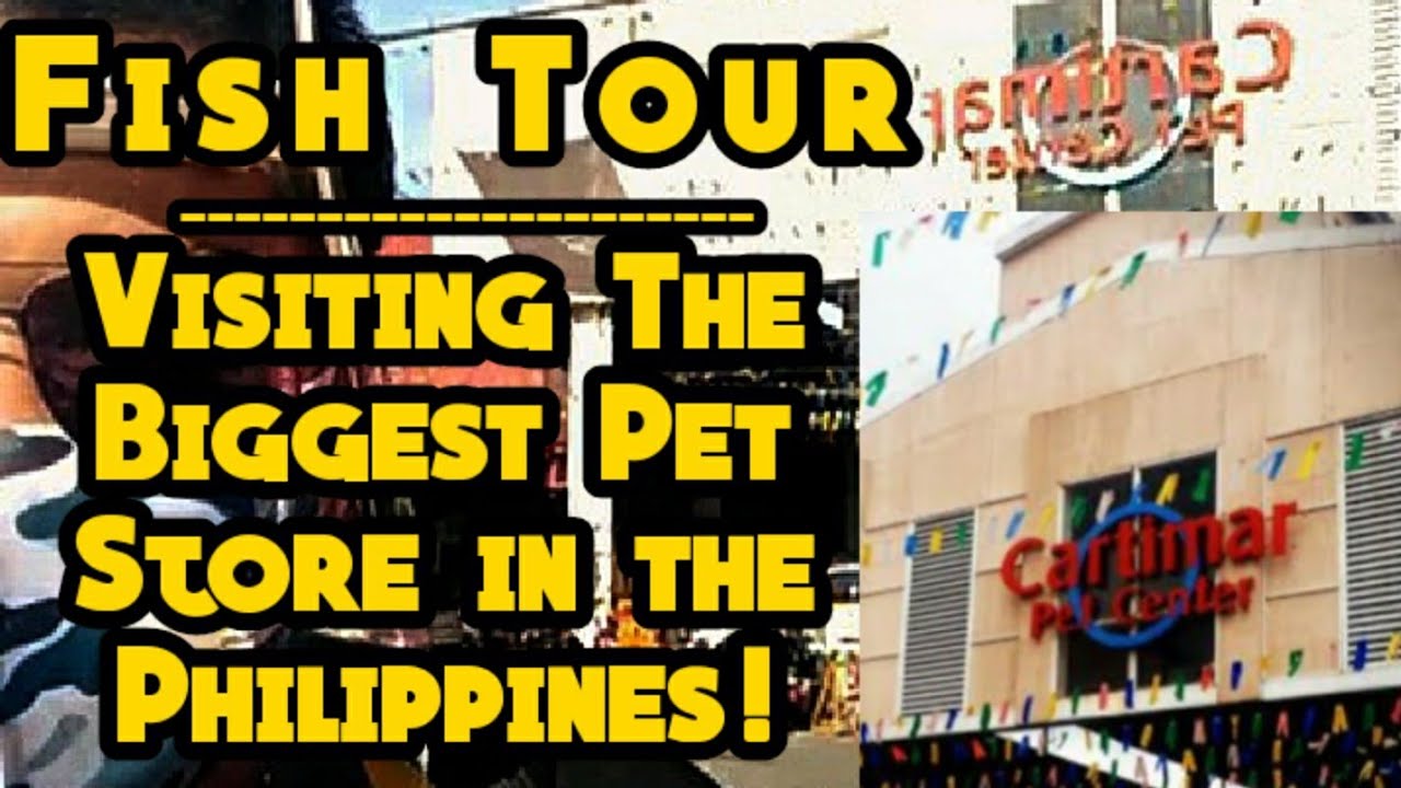 Cartimar Pet Center | Fish Tour | Visiting the Biggest Pet Store in the ...