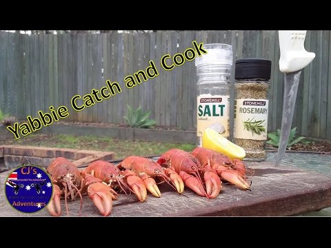 Catch and cook - Massive Fresh yabbies straight outta the water | CJ's ...