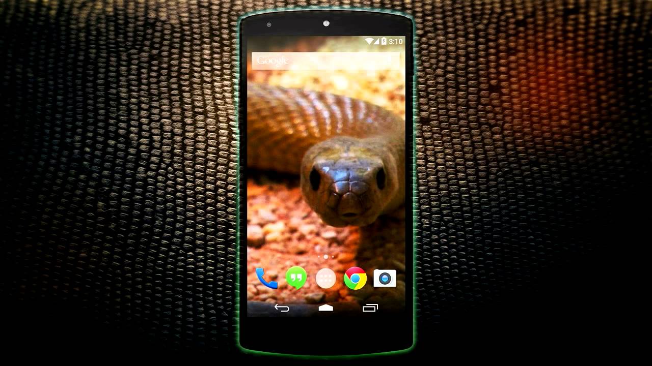 Snake Live Wallpaper - YouTube