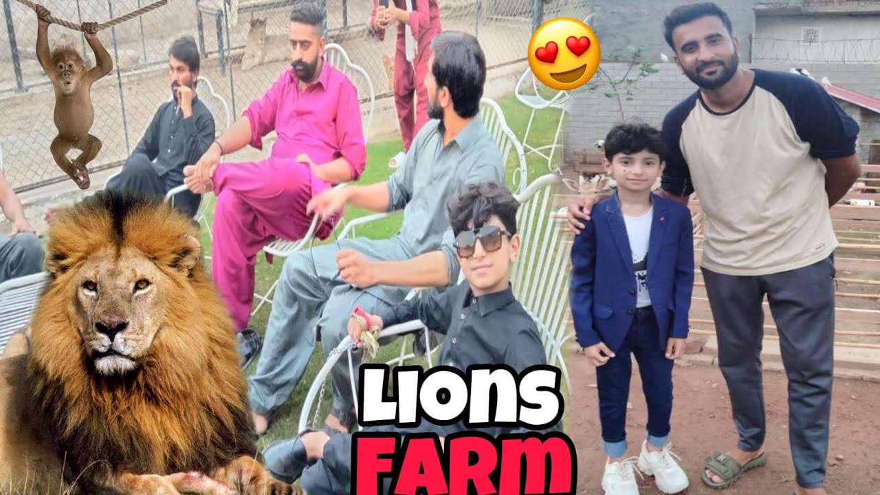 Pakistan Ka Biggest Lions Farm Visit Kia 😍 Lion Cub Pass and Gaya ️ ...
