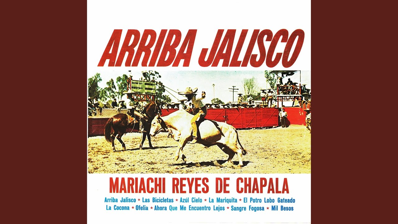 El potro lobo gateado - YouTube