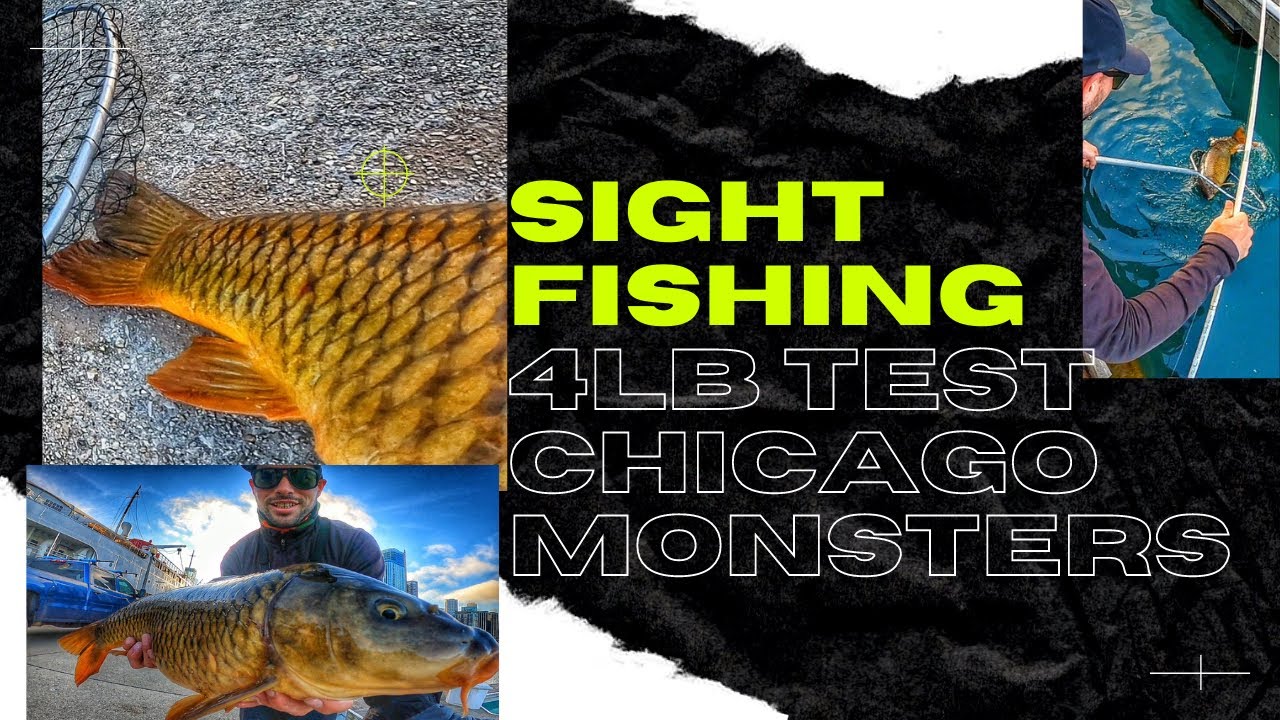 City Fishing Downtown Chicago Lakefront - YouTube