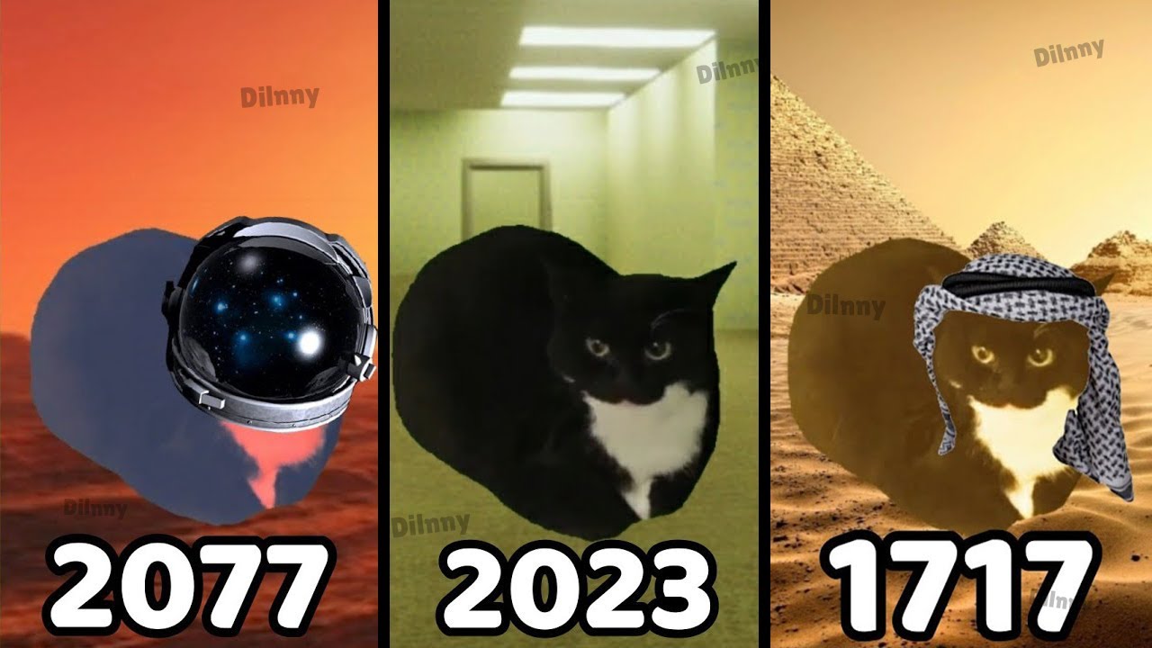Maxwell The Cat Dance In Different Years - YouTube