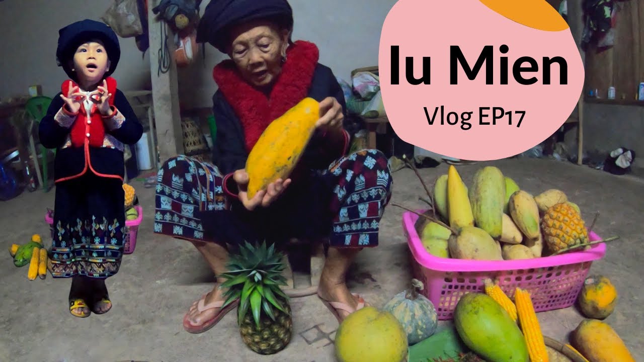 Iu Mien Vlog EP17 | Introducing Iu Mien fruits from Iu Mien village ...