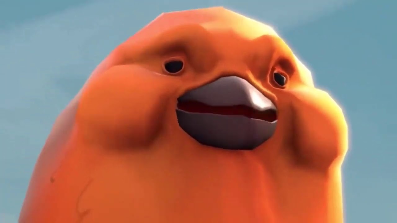 beautiful bird boi - YouTube