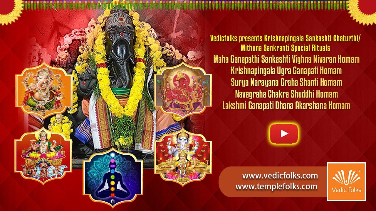 Krishnapingala Sankashti Chaturthi/ Mithuna Sankranti Special Rituals ...
