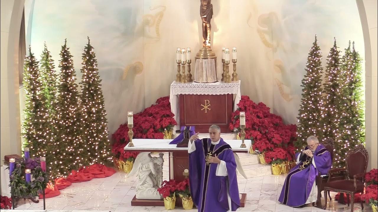 Father Mark Beard's Homily - "How Are You Described" - 2nd Sunday of Advent, Year C 2021 - YouTube