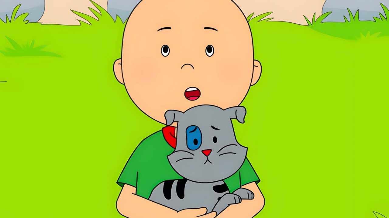 Cuando era pequeño | Las Nuevas Aventuras de Caillou | Caillou en ...