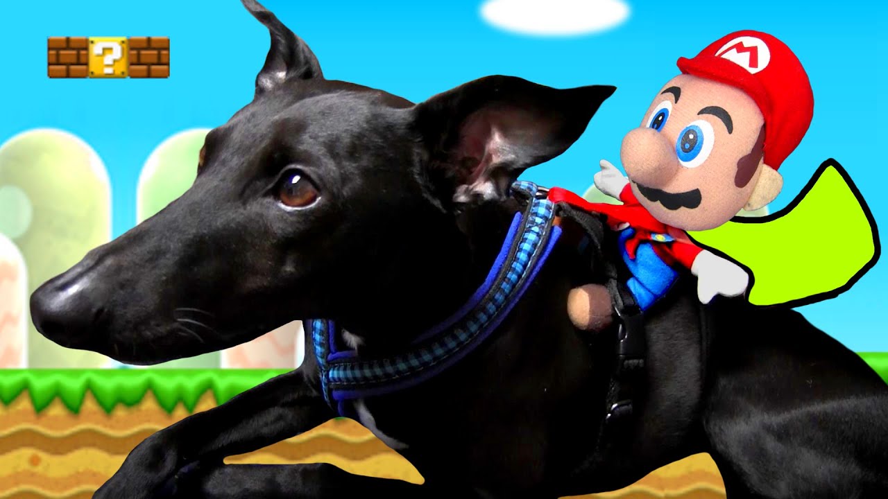 Mario's Furriest Friend...!? - YouTube
