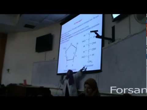 bio chemistry carbohydrates 4 Dr/dina sabry - YouTube