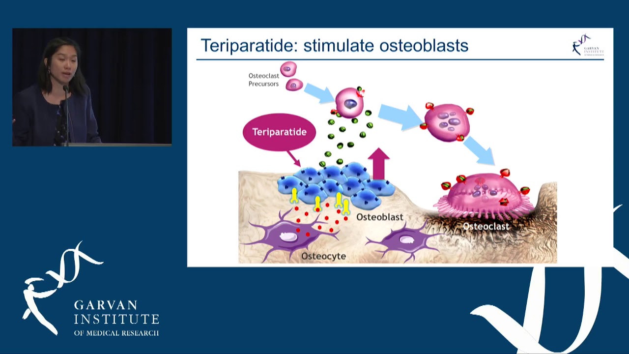 Targeting therapies: treating diseases of the bone - Dr Angela Sheu ...