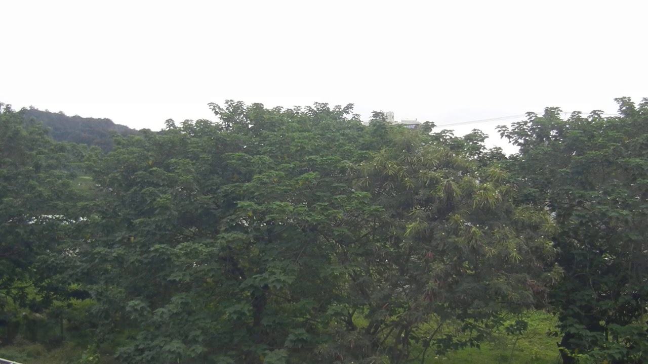 2020.12.1~31.....DSCN0915 - YouTube
