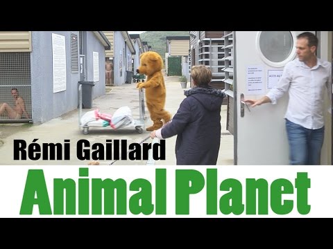 ANIMAL PLANET (REMI GAILLARD)