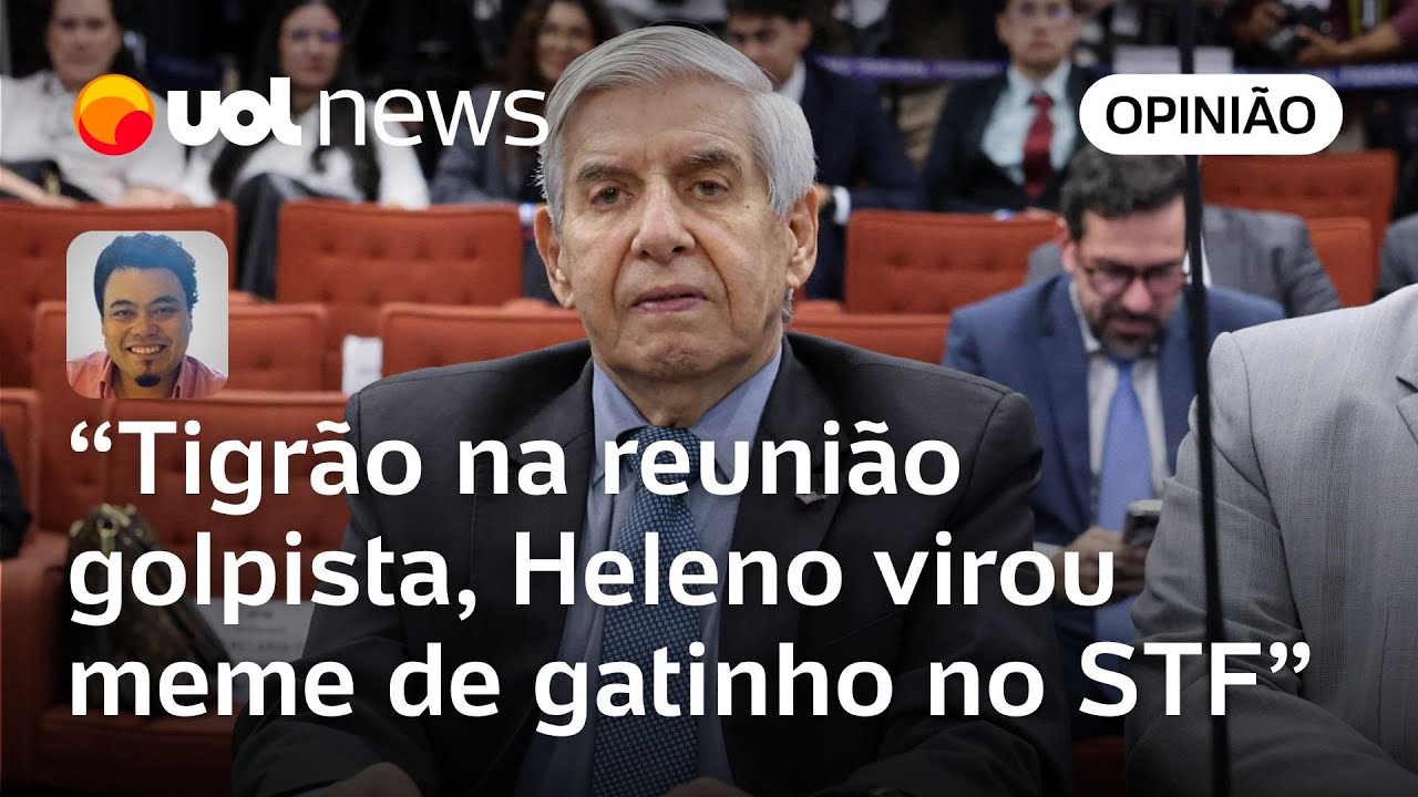 General Augusto Heleno, tigrão em reunião golpista, foi meme de gatinho ...