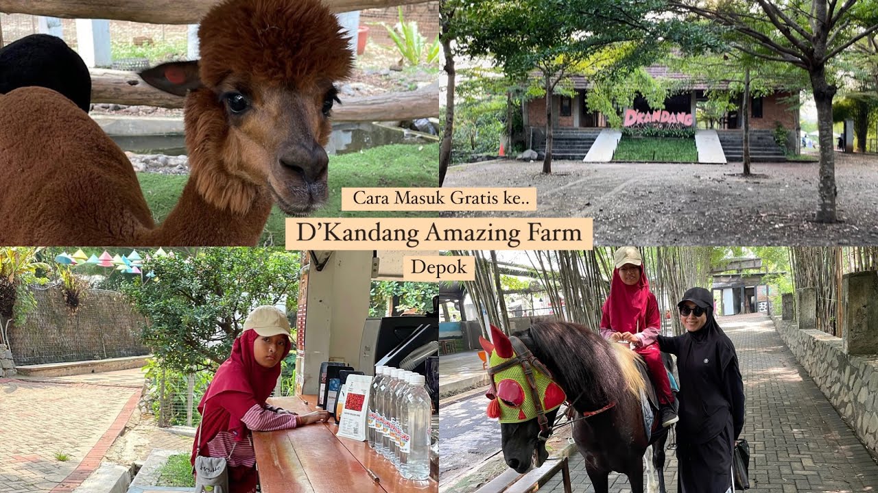 D’Kandang Amazing Farm Vlog - YouTube