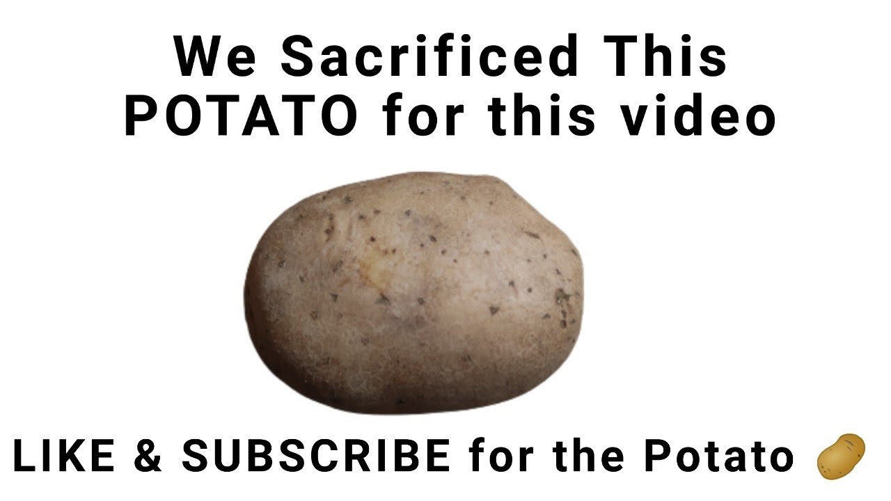 WATCH THE VIDEO FOR THE POTATO| I KILLED THIS POTATO 🥔 FOR THE VIDEO ...