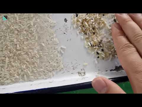 SG rice color sorter/rice sorting machine - YouTube