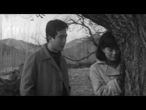 젊은 느티나무(1968) / A Young Zelkova ( Jeolmeun Neutinamu ) (1968)