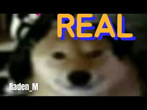 The Battle “Real” | Raden_M - YouTube