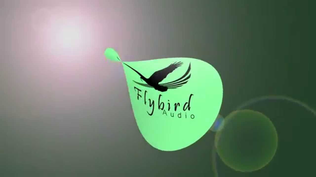 Flybird Audio /// Audio Production Studio /// Royalty Free Music Audio ...