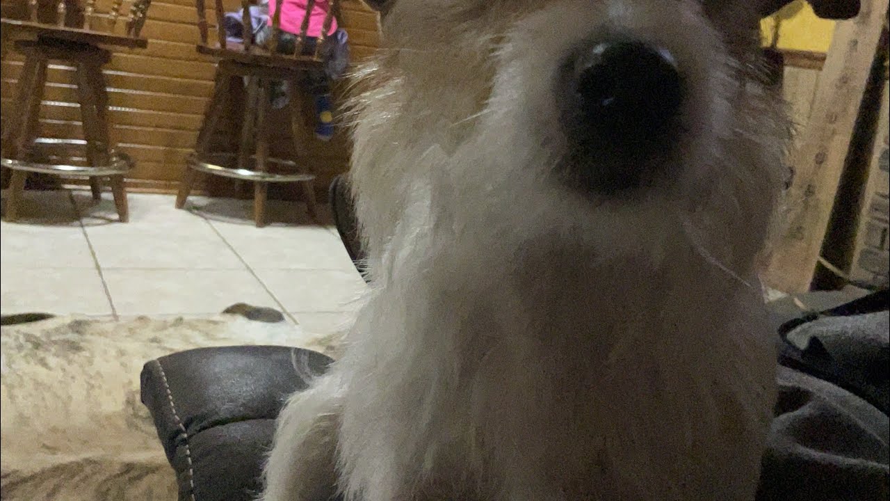 Operation Overlord gameplay #2 - YouTube