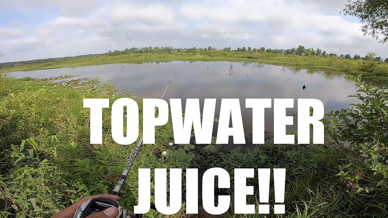 Catching CHUNKS!! | Summer Topwater Fishing - YouTube