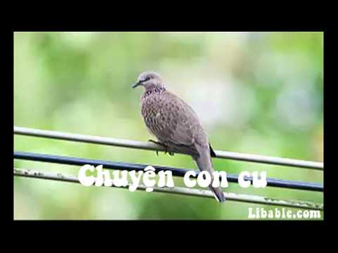 Chuyện con cu - tân cổ (siêu bựa)