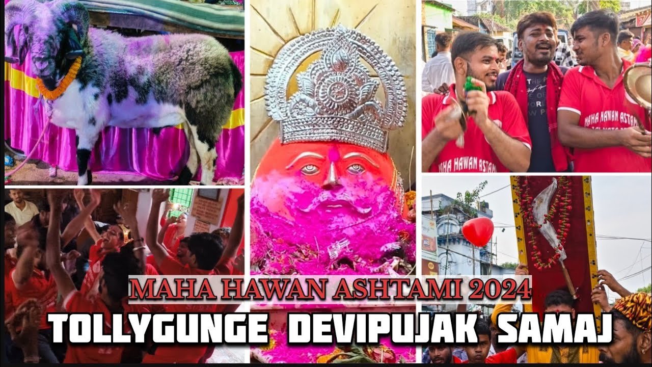 MAHA HAWAN ASHTAMI 2024 || TOLLYGUNGE DEVIPUJAK SAMAJ - YouTube