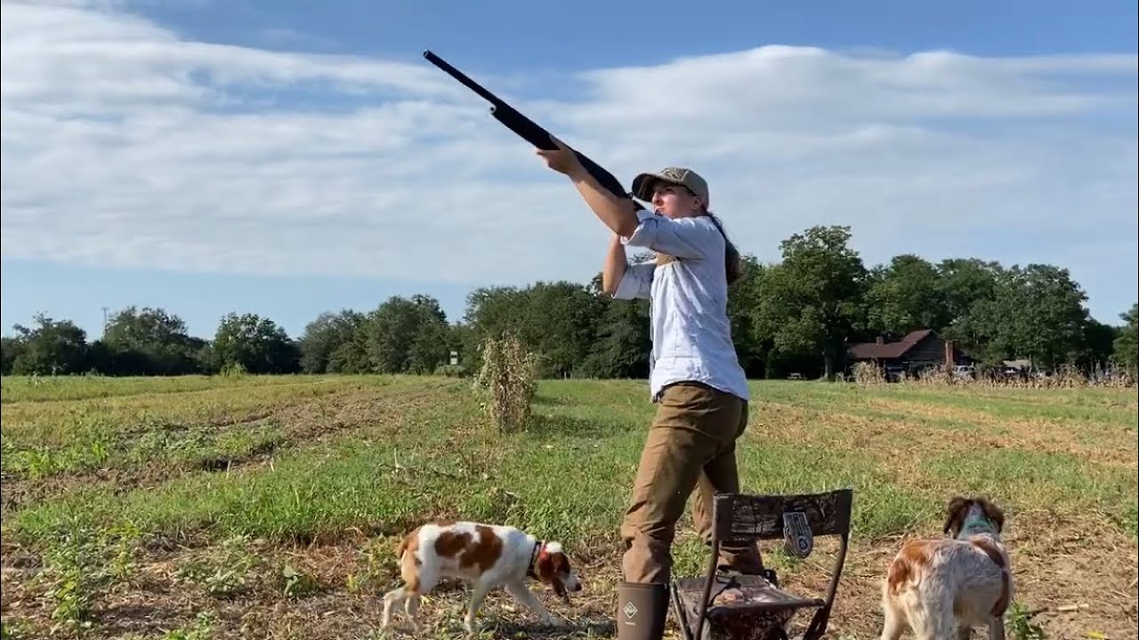 Dove hunt (catch and cook) - YouTube