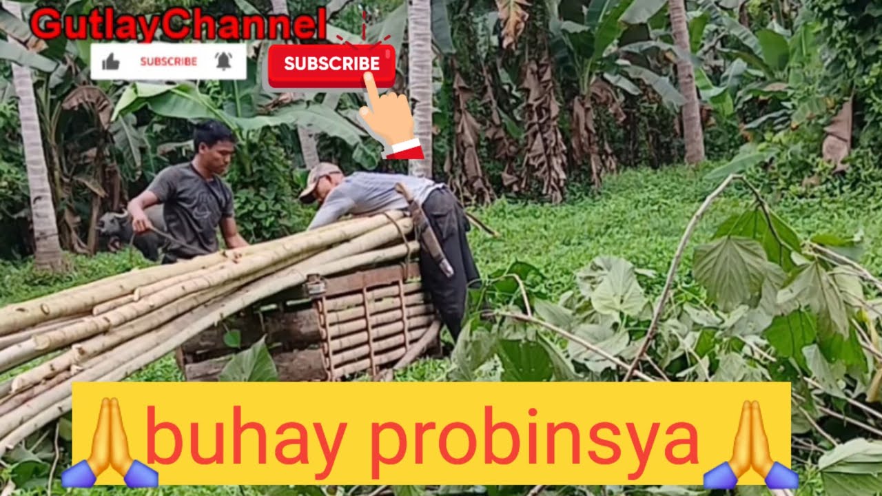 Disgrasya pud an BMW nayabo 😂🤣😅#buhayprobinsya - YouTube