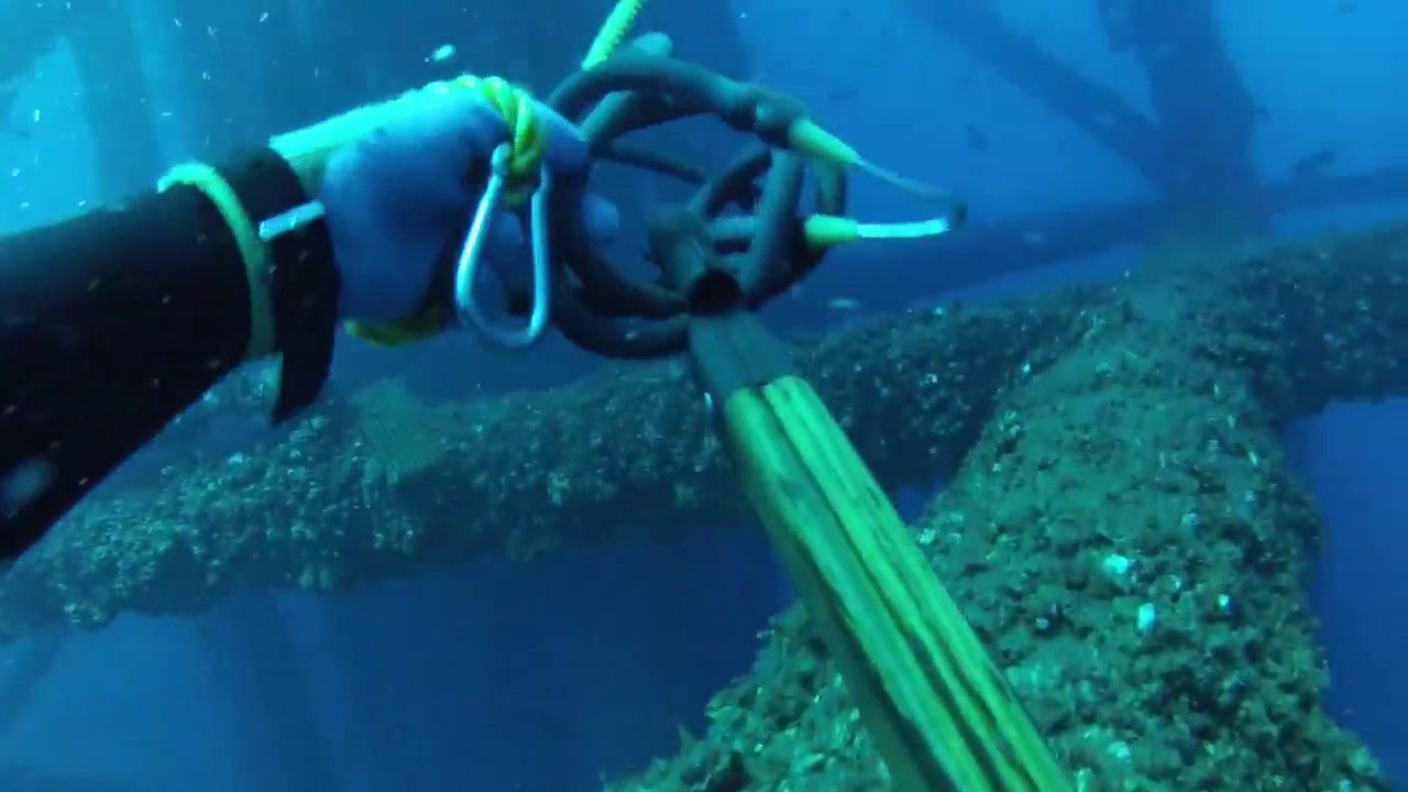 Spearfishing Louisiana Oil Rigs Aqua Aces Rodeo 2016 - YouTube