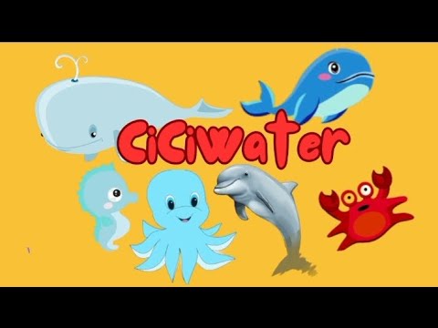 Baby Octopus Sing & Dance | Animal Song | CiCiWater Songs For Kids ...