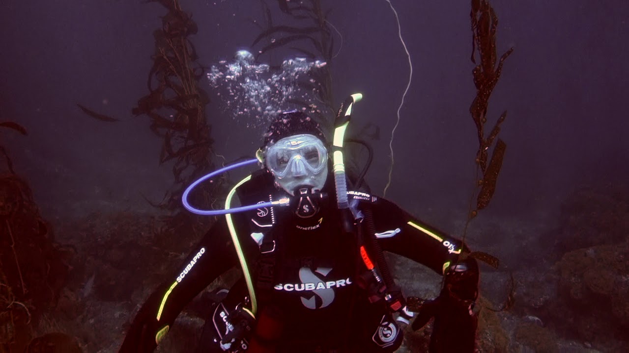 Channel Islands Dive with Truth aquatics - 1/27/18 - YouTube