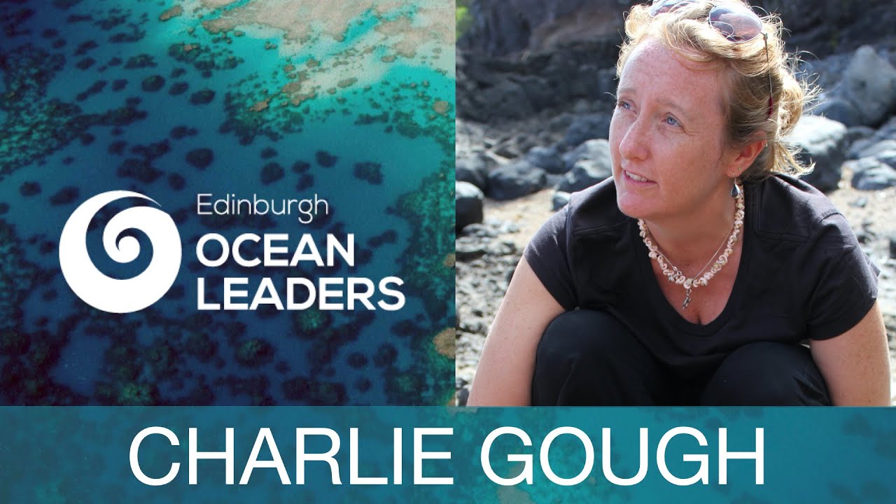 Leaders' Stories: Charlie Gough - YouTube