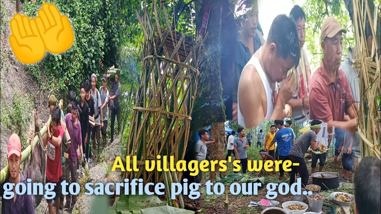noksa village|| a day were whole villager going to sacrifice pig to our ...