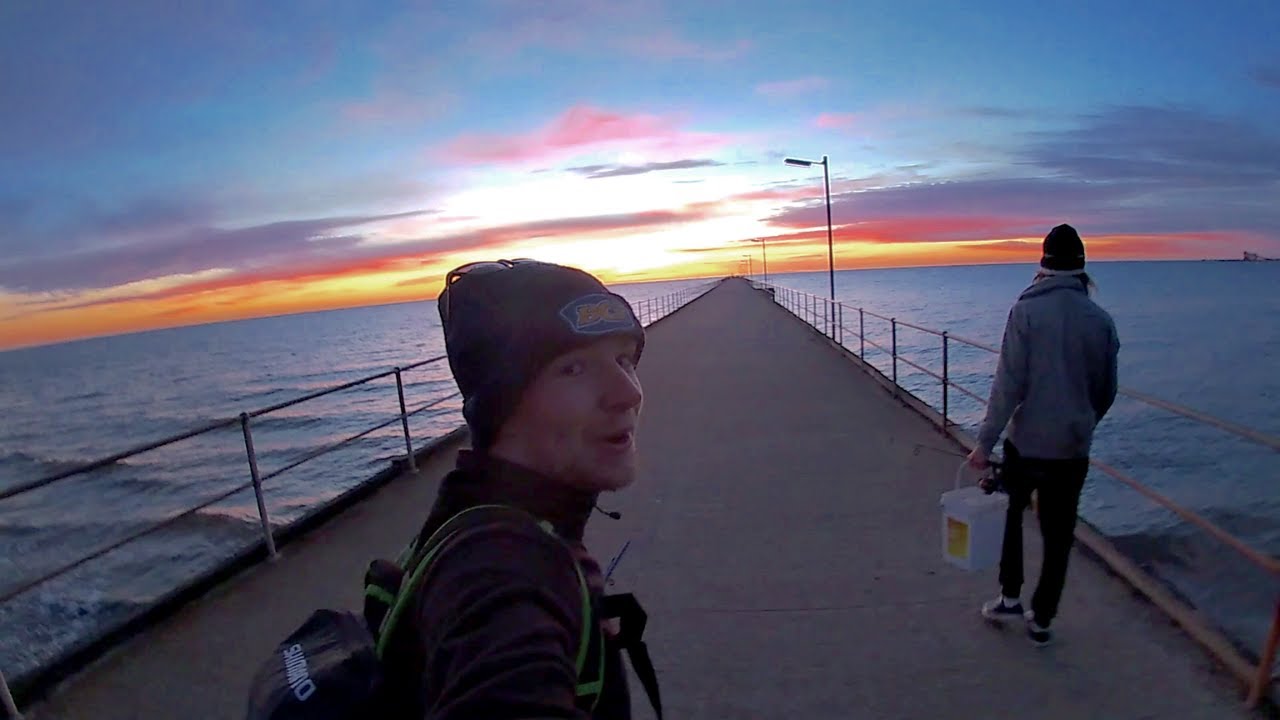 ARDROSSAN Jetty SQUID Fishing | Catch and Cook (Smoky Paprika Recipe ...