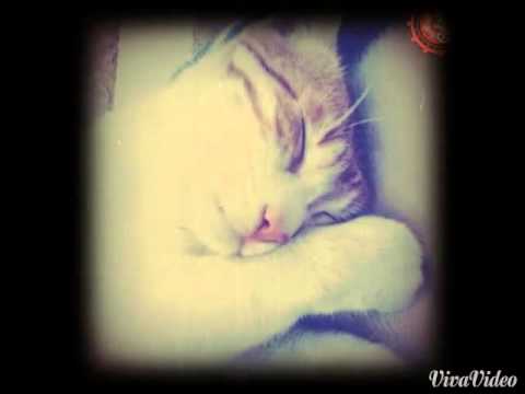 Pişiyimmmm)))) ♡♡♡