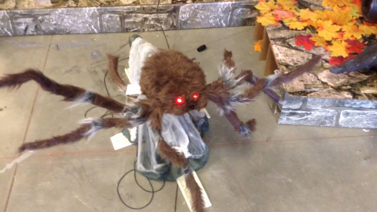 Brown jumping spider prop 2016 - YouTube