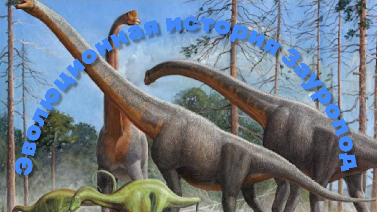 Эволюцеонная история и классификация Зауропод - YouTube