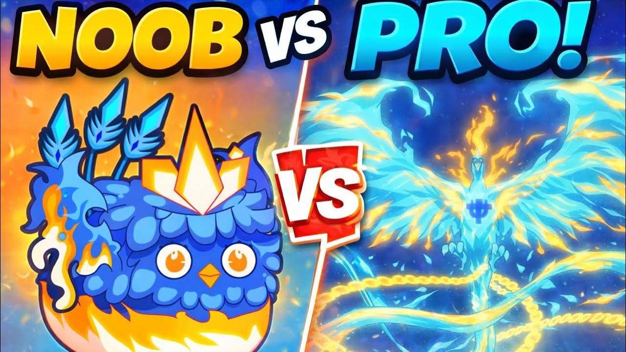 I Awakened PHOENIX in Blox Fruits![PART-15] TAMIL @MrAC0069 @Roblox ...