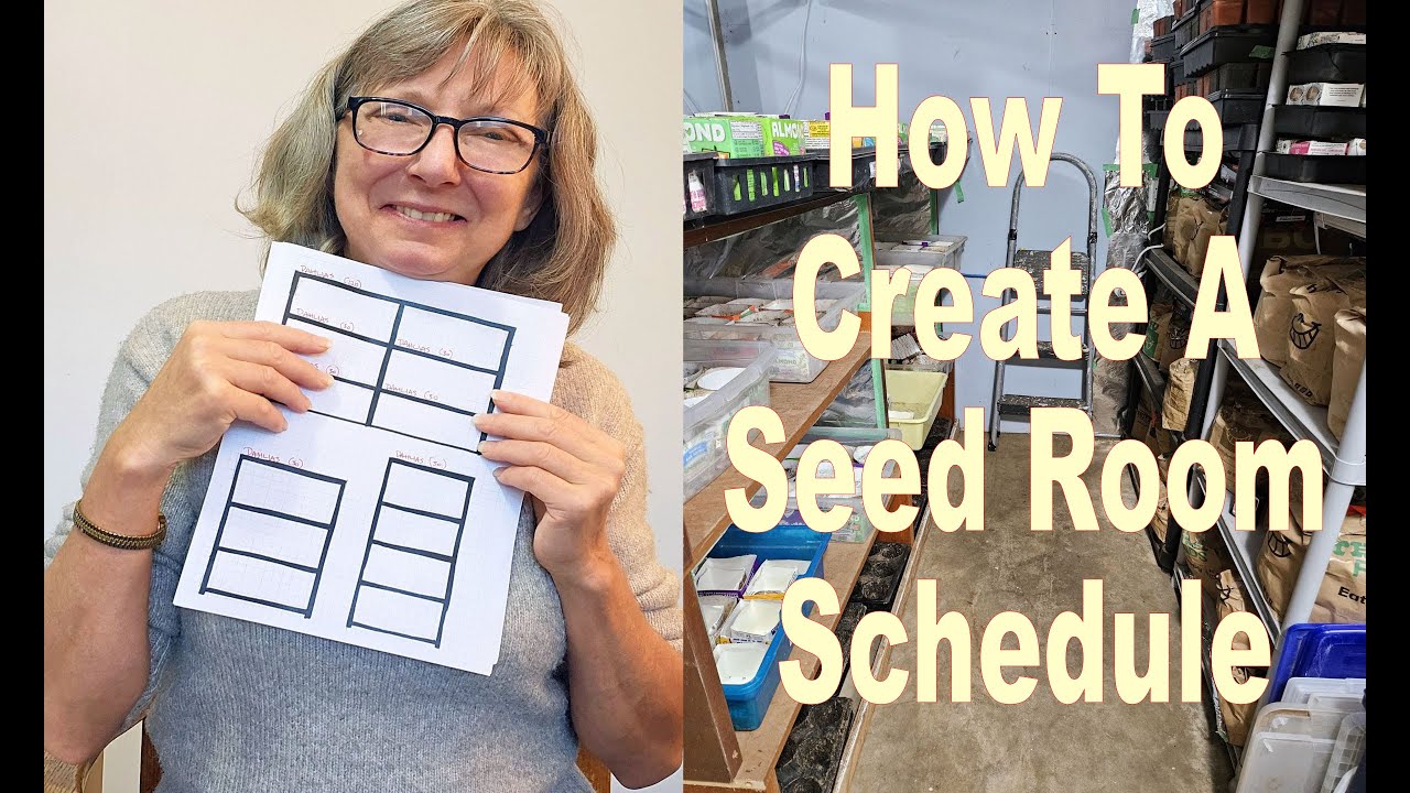 How & Why I Create a Seed Room Schedule long before my actual Seed ...