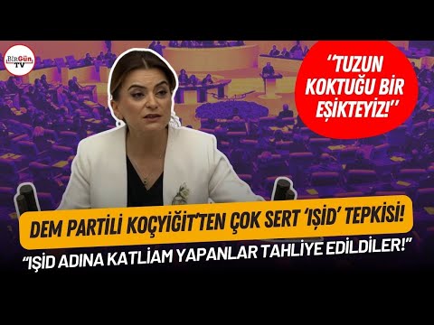 DEM Partili Koçyiğit'ten Meclis'te sert tepki! \