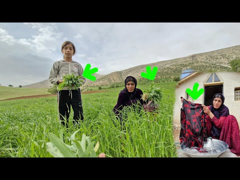 Heartwarming Nomadic Life! A Mother’s Journey Through Nature and Hard Work